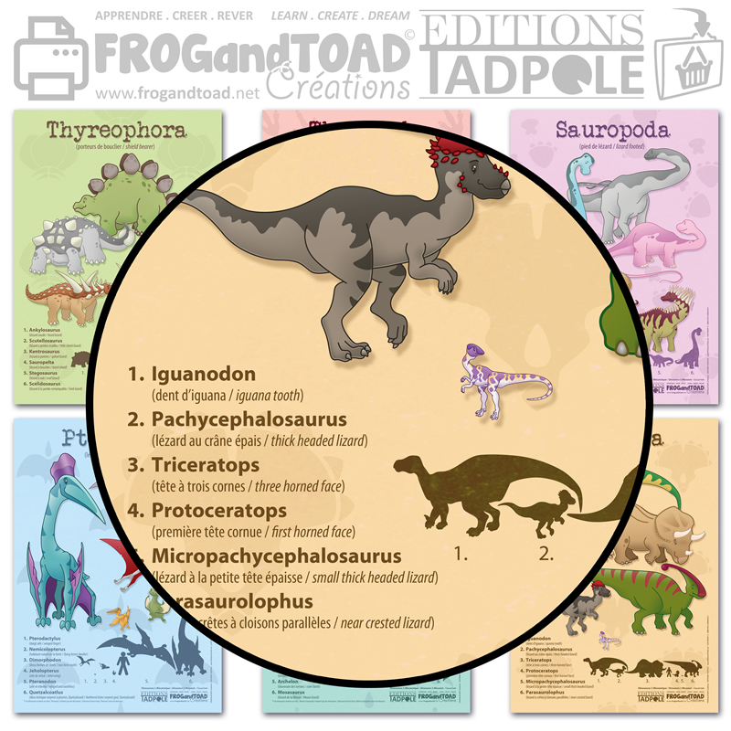 PDF DIGITAL - ECO PALEO SET - Collection Dinosaures / Dinosaur ...